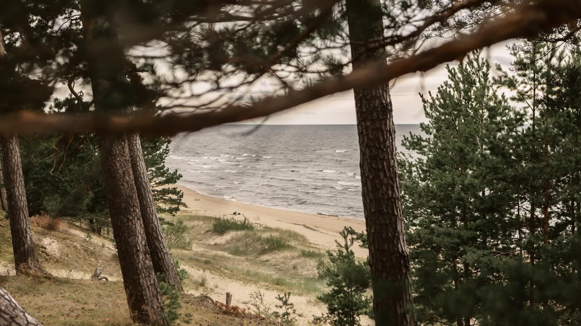 Tavaklase.lv - Dabas ainavas / Пейзажи